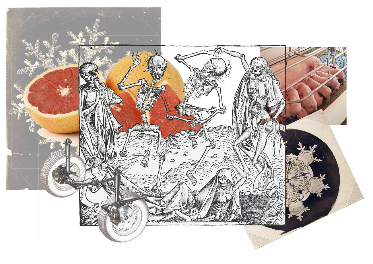 Der Tod wird mit Pesca Frizz vollgespritzt | TagesWoche