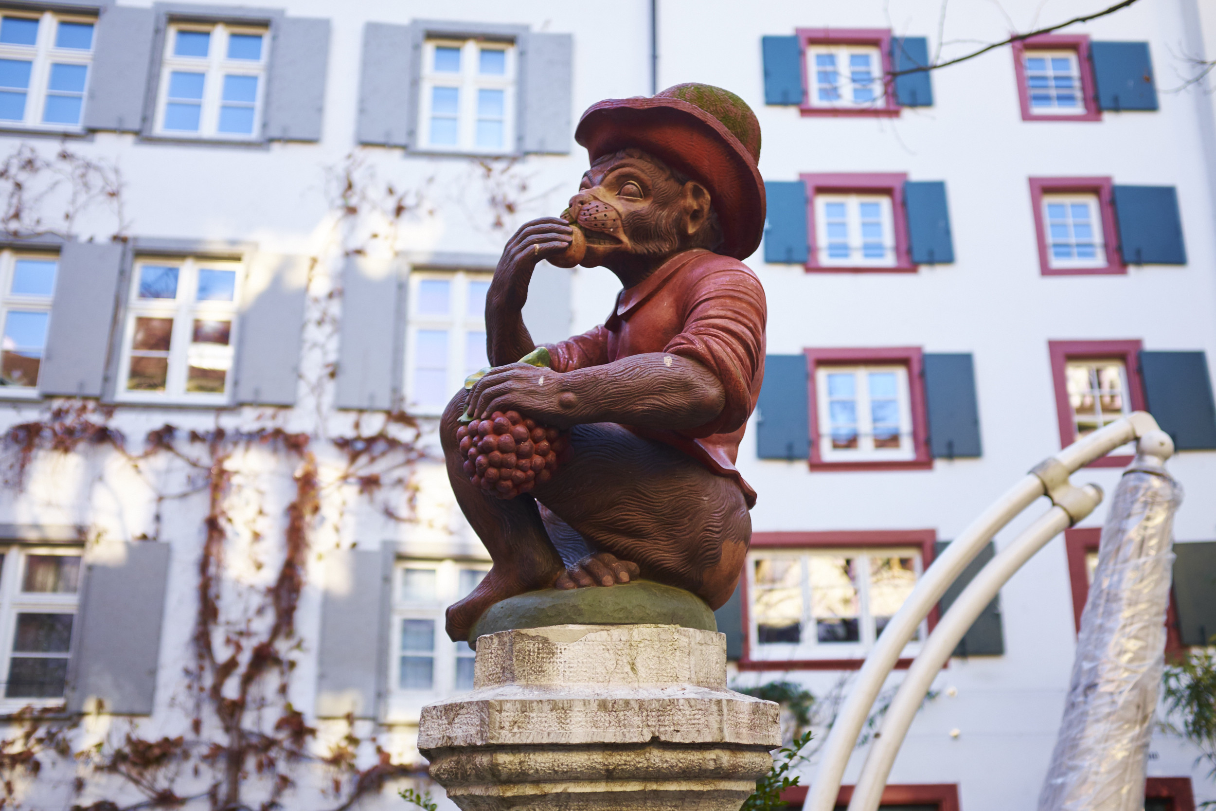 Dieser Affe paart sich mit dem «Roten Engel» | TagesWoche